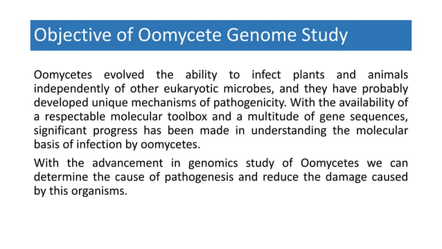 Eumicrobedb - Oomycetes Genomics Database | PPT