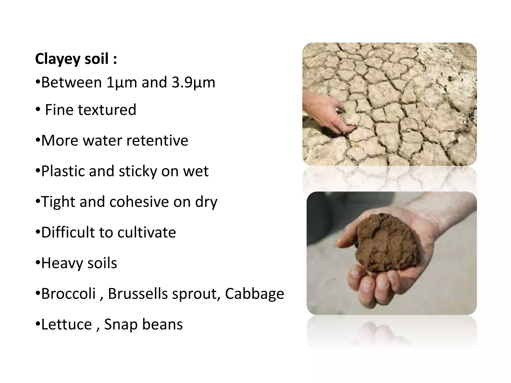 Determination of Soil Texture. | PPTX