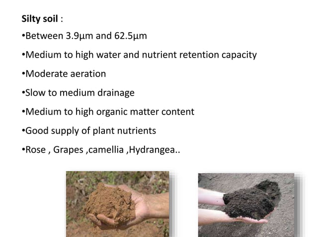 Determination of Soil Texture. | PPTX | Agriculture | Industries