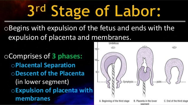 3rd stage of labor