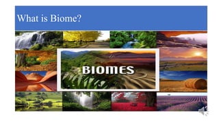 BIOME1,BIOME2,BIOME3,BIOME4 and their features | PPTX
