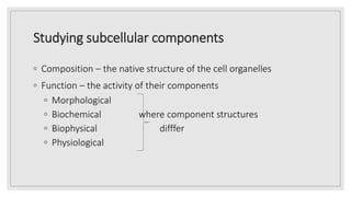 3rd sync module 5 6 | PPT