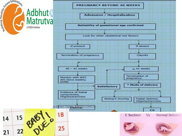 3rd trimester-Workup & Algorithms | PDF | Pregnancy | Reproductive Health