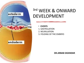 3rd week development.pdf