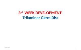 3rd WEEK DEVELOPMENT Embryology 1 1.pptx