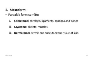 3rd WEEK DEVELOPMENT Embryology 1 1.pptx