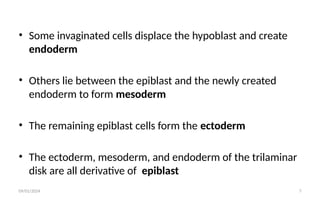 3rd WEEK DEVELOPMENT Embryology 1 1.pptx