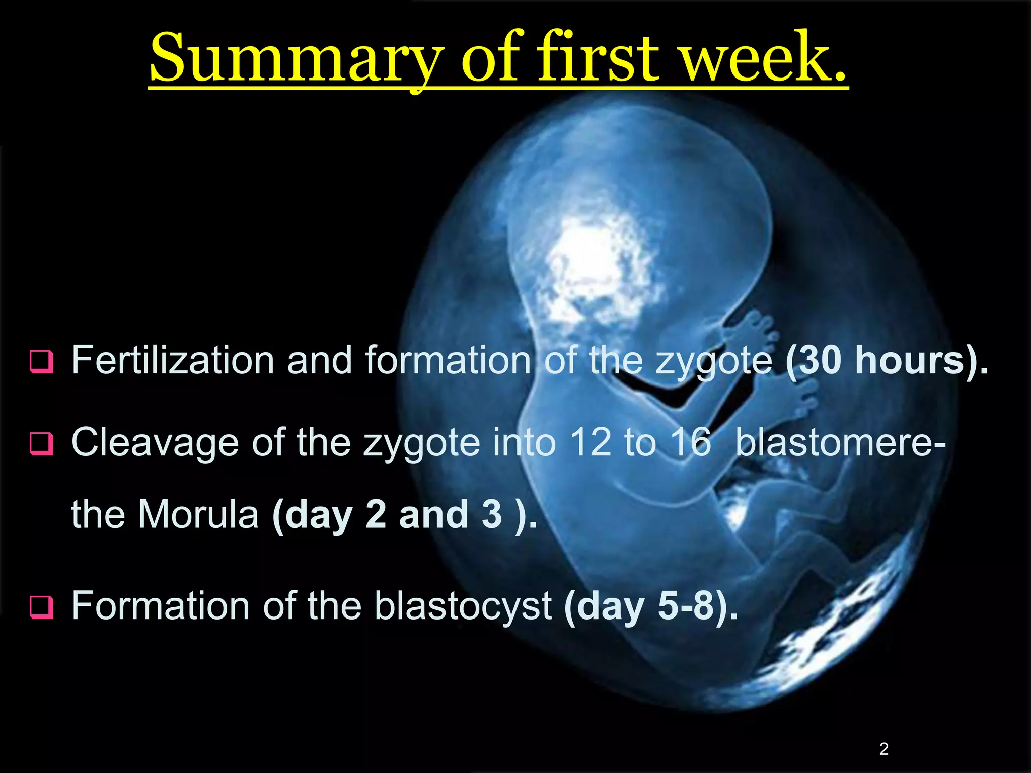 3rd week embryo changes | PPT