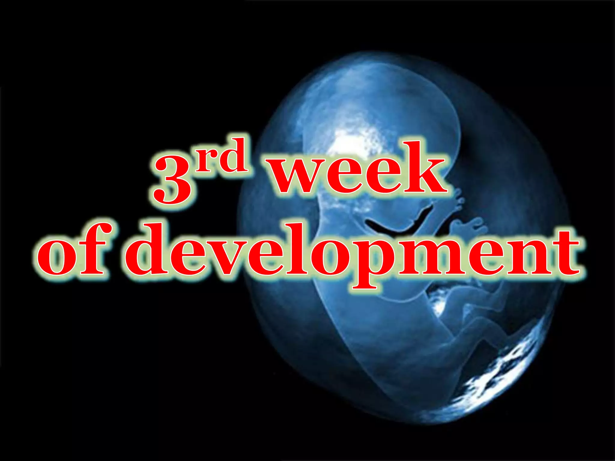 3rd week embryo changes | PPT