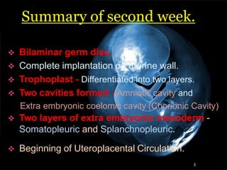 3rd week embryo changes | PPTX