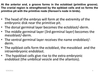 3rd week of development and derivatives of germ | PPTX | Pregnancy ...