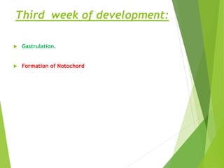 3rd week of human development | PPTX