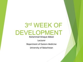 3rdweekofhumandevelopment-190625095556 (1).pdf