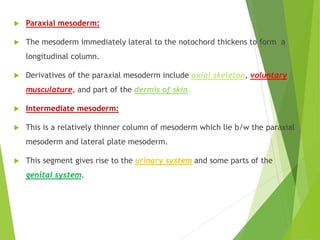 3rdweekofhumandevelopment-190625095556 (1).pdf