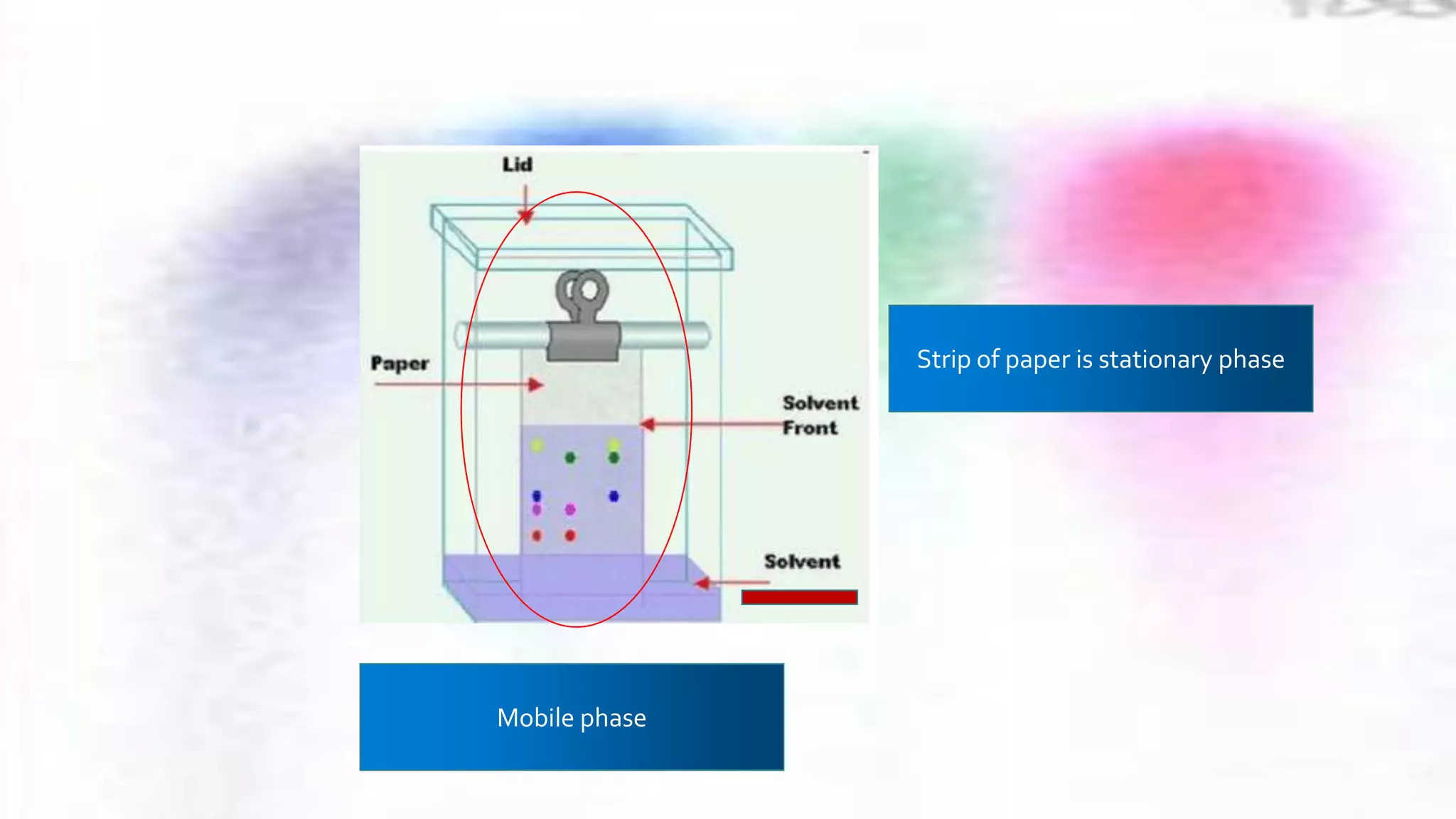 Paper Chromatography | PPTX