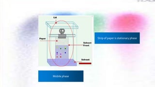 Paper Chromatography | PPT