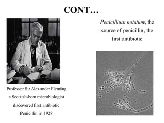 3rd year septicemia.pptx