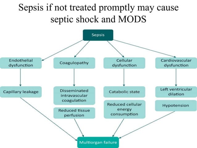 3rd year lecture sepsis and septicemia.pptx