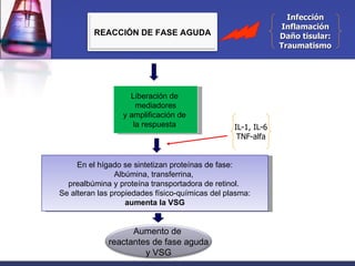 3 Reactantes Fase Aguda | PPT