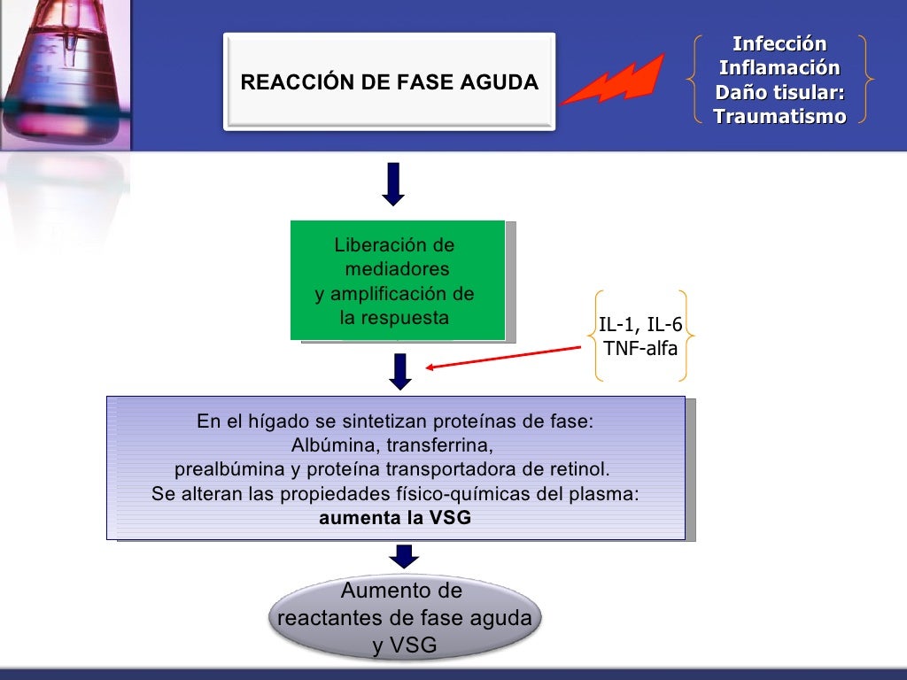 Reactantes De Fase Aguda