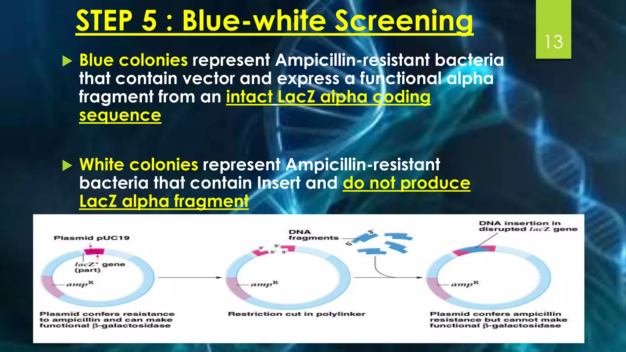 Recombinant DNA technology | PPTX
