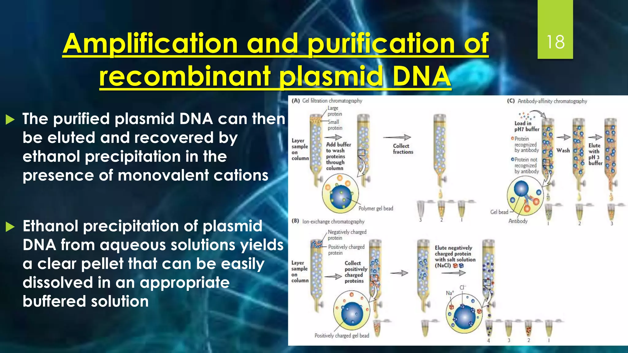 Recombinant DNA technology | PPTX