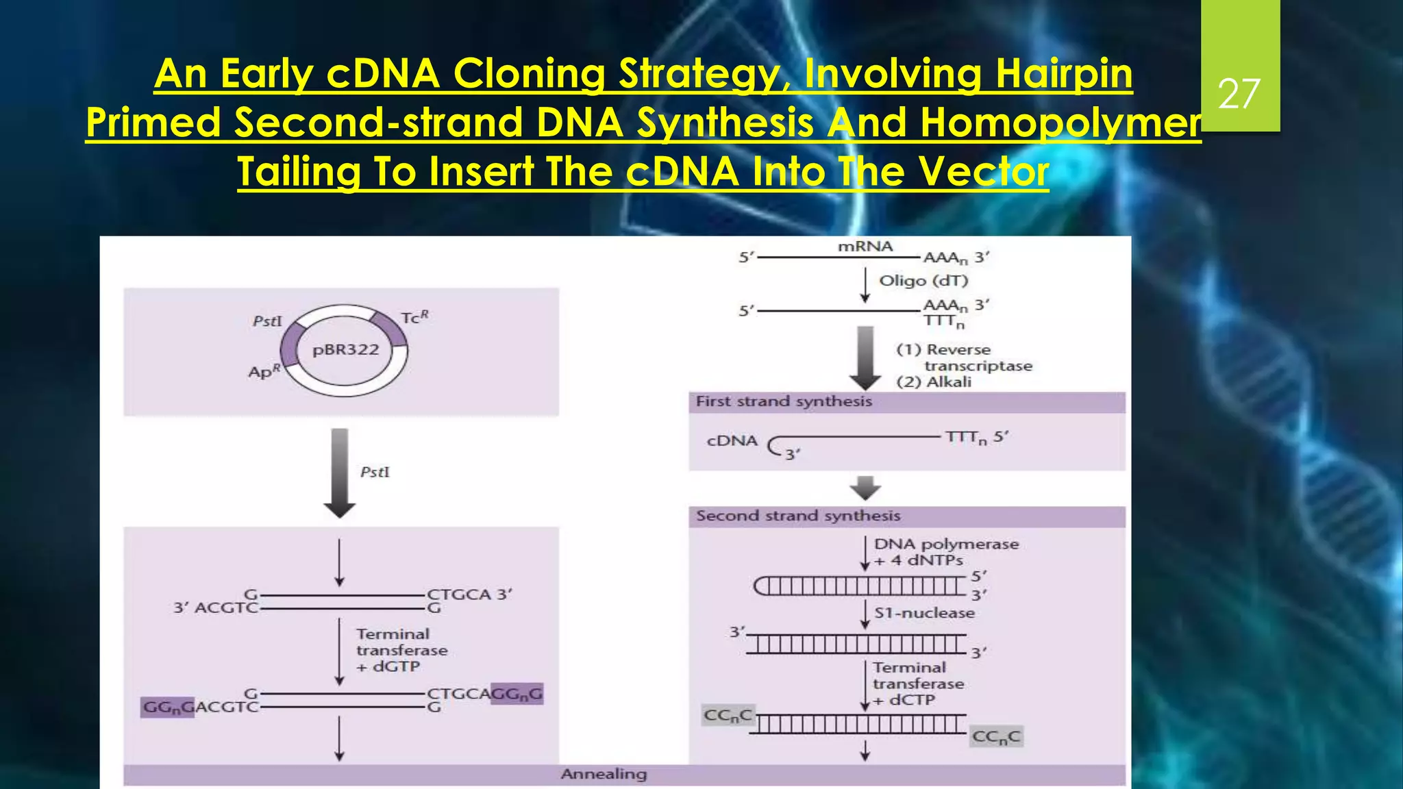 Recombinant DNA technology | PPTX