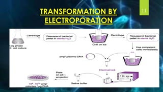 Recombinant DNA technology | PPTX