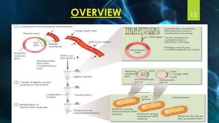 Recombinant DNA technology | PPTX
