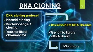 Recombinant DNA technology | PPTX