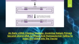 Recombinant DNA technology | PPTX