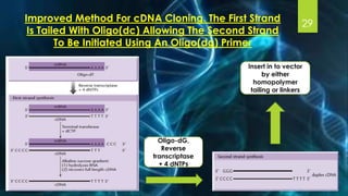 Recombinant DNA technology | PPTX