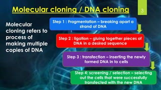 Recombinant DNA technology | PPTX