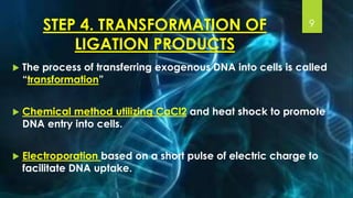 Recombinant DNA technology | PPTX