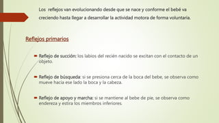 3Reflejos.pptx