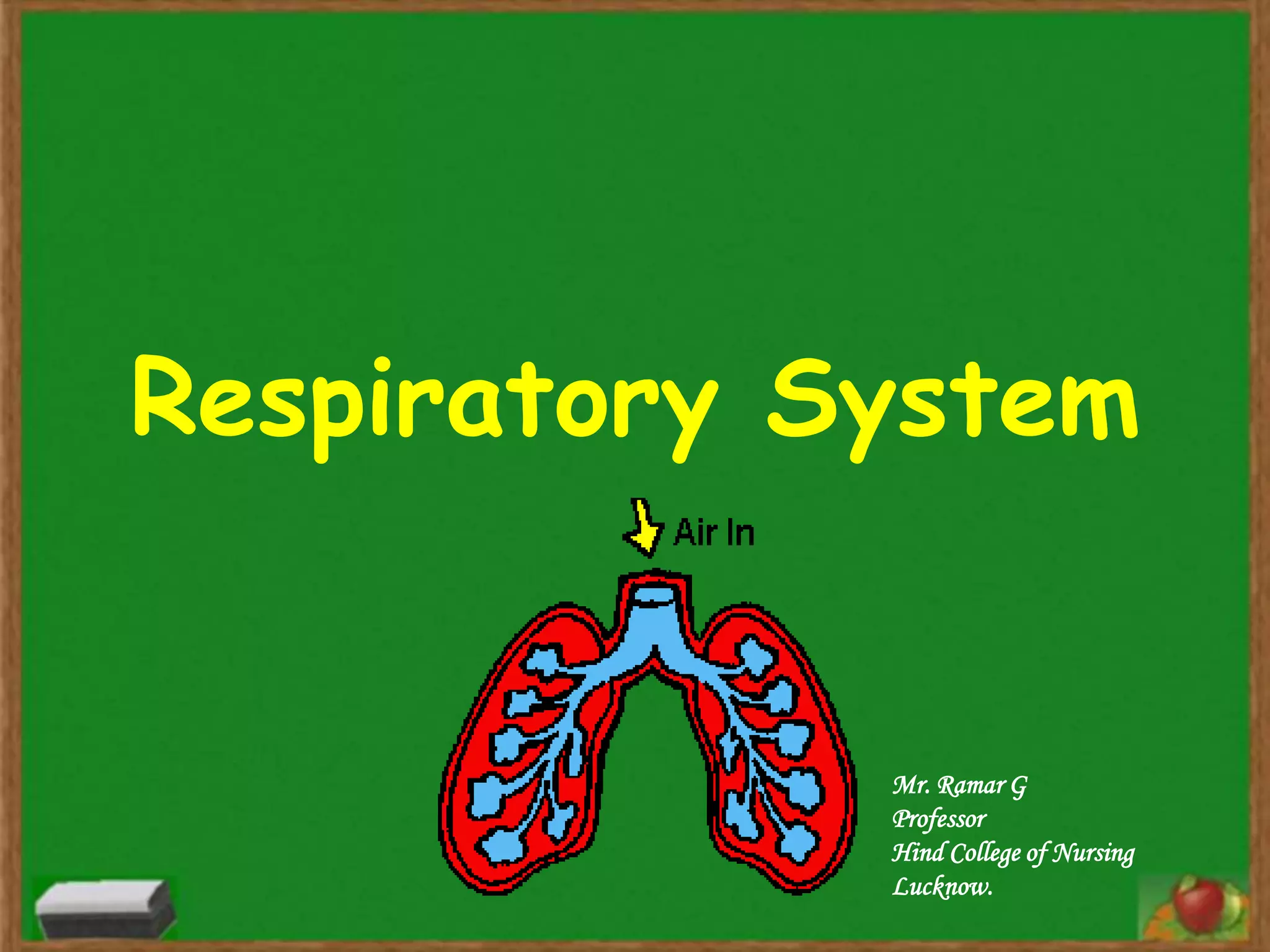 3 Respiratory System.ppt