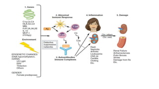 3 rheumatology | PPTX