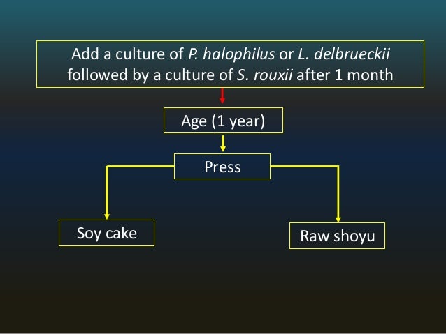 3 richard soy sauce control of process