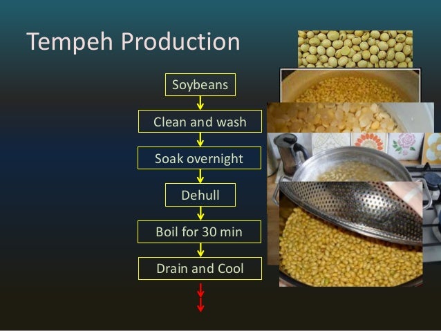 3 richard soy sauce control of process