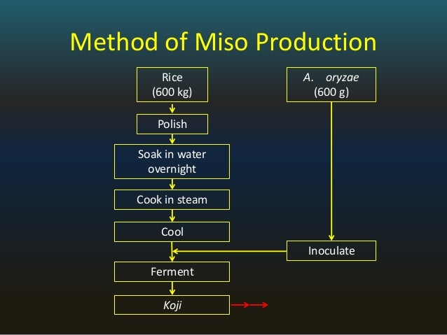 3 richard soy sauce control of process