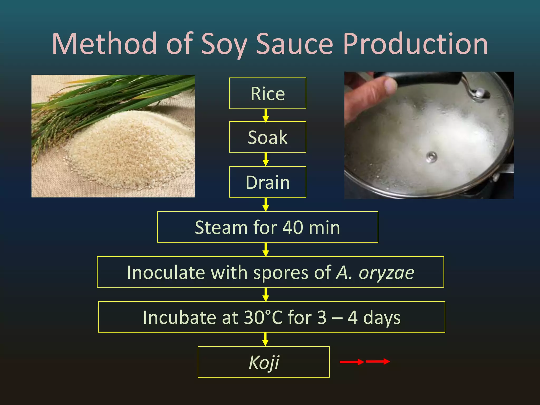 Soy sauce control of process1 | PPTX | Cooking | Food & Drink