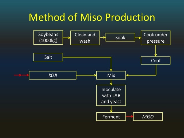 Soy sauce control of process1