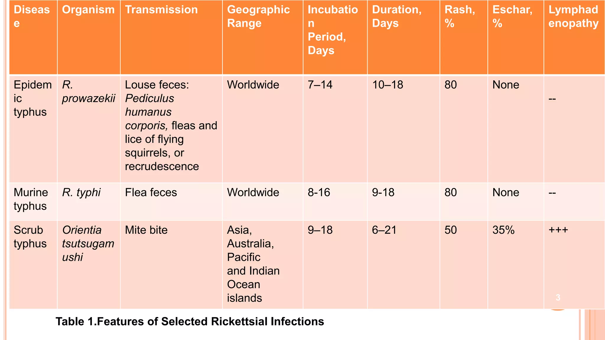 3 rickettsial diseases | PPTX | Infectious Diseases | Diseases and ...