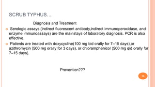 3 rickettsial diseases | PPTX