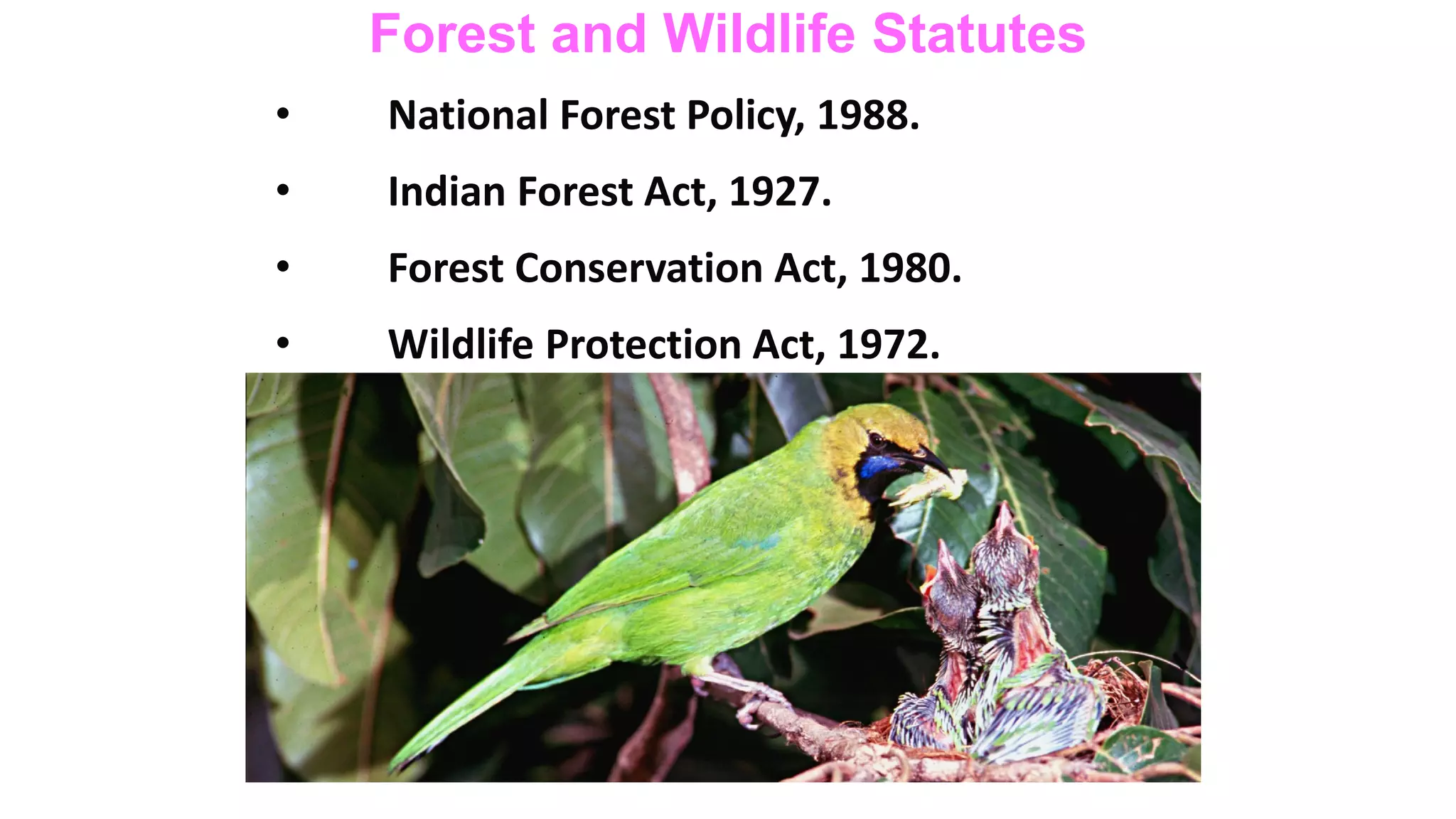 3 THE INDIAN FOREST ACT, 1927 LAND MATTERS AND BLANKET NOTIFICATIONS | PDF