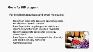 In-Vivo Safety - Pre Ind Drug Development | PDF