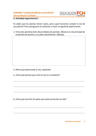 3ro estudiante funcion_clasificacion_plantas | PDF