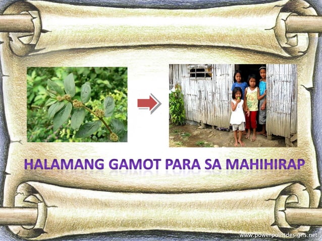 Jose Rizal sa Dapitan | PPT