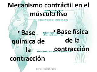 Musculo liso tipos y bases quimicas y fisica | PPT