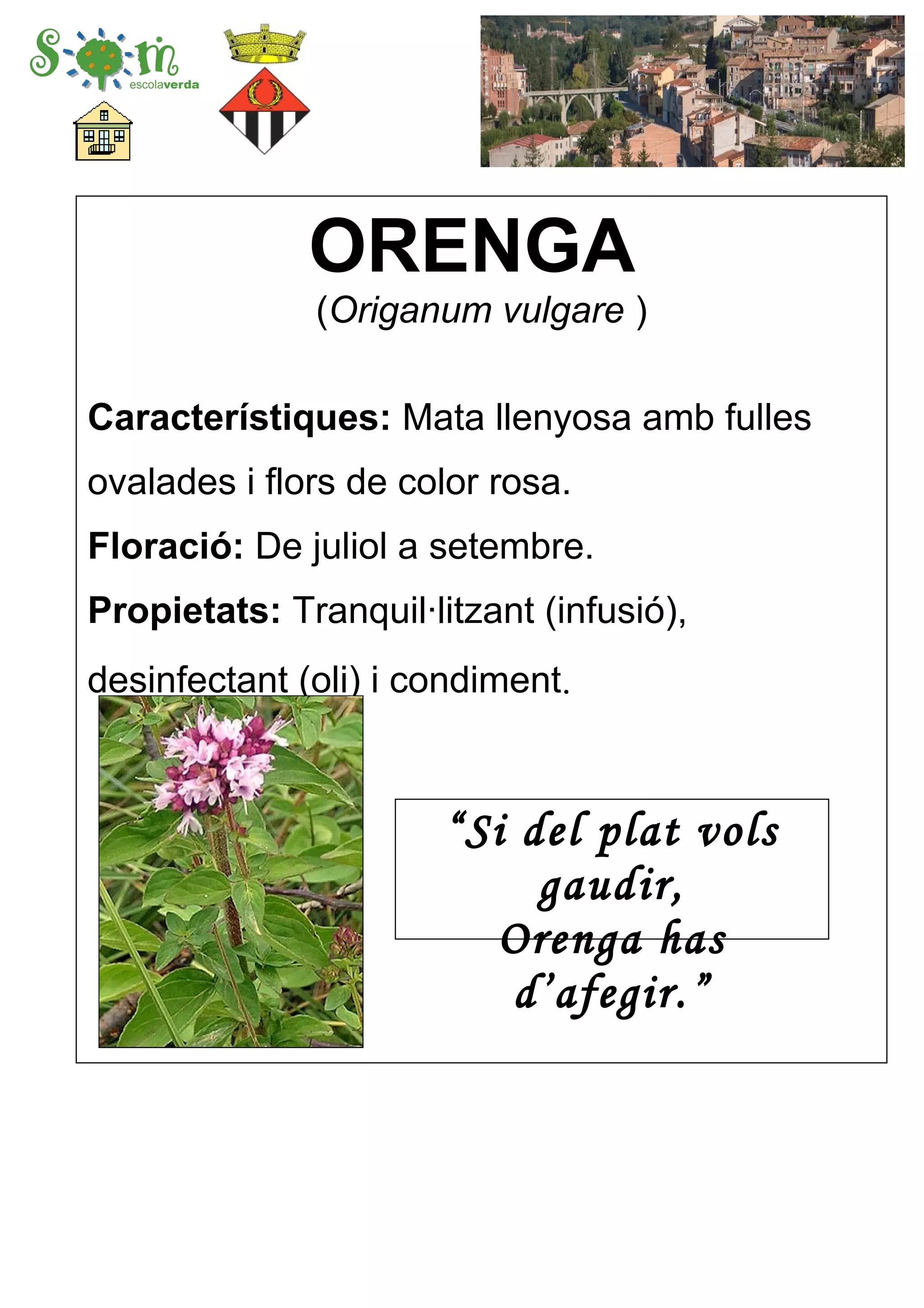 3r orenga | DOC